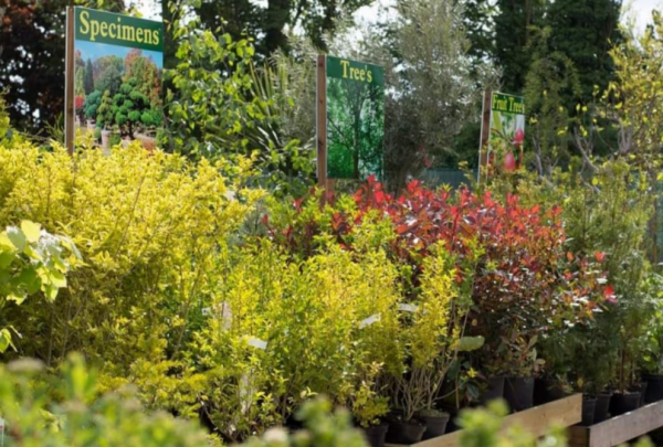 About Us – Court Farm Garden Centre & Cafe